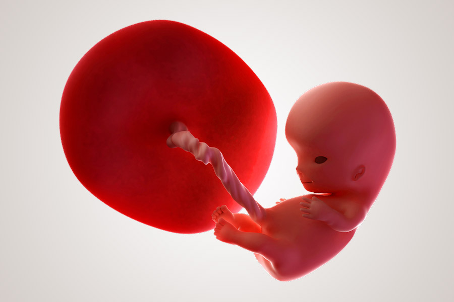 11. SSW – 24baby.de