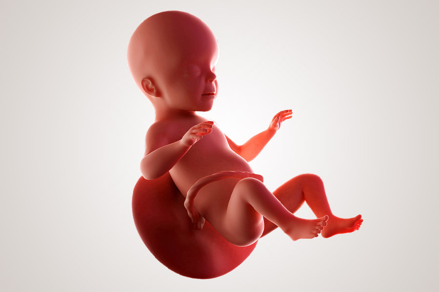 27. SSW – 24baby.de